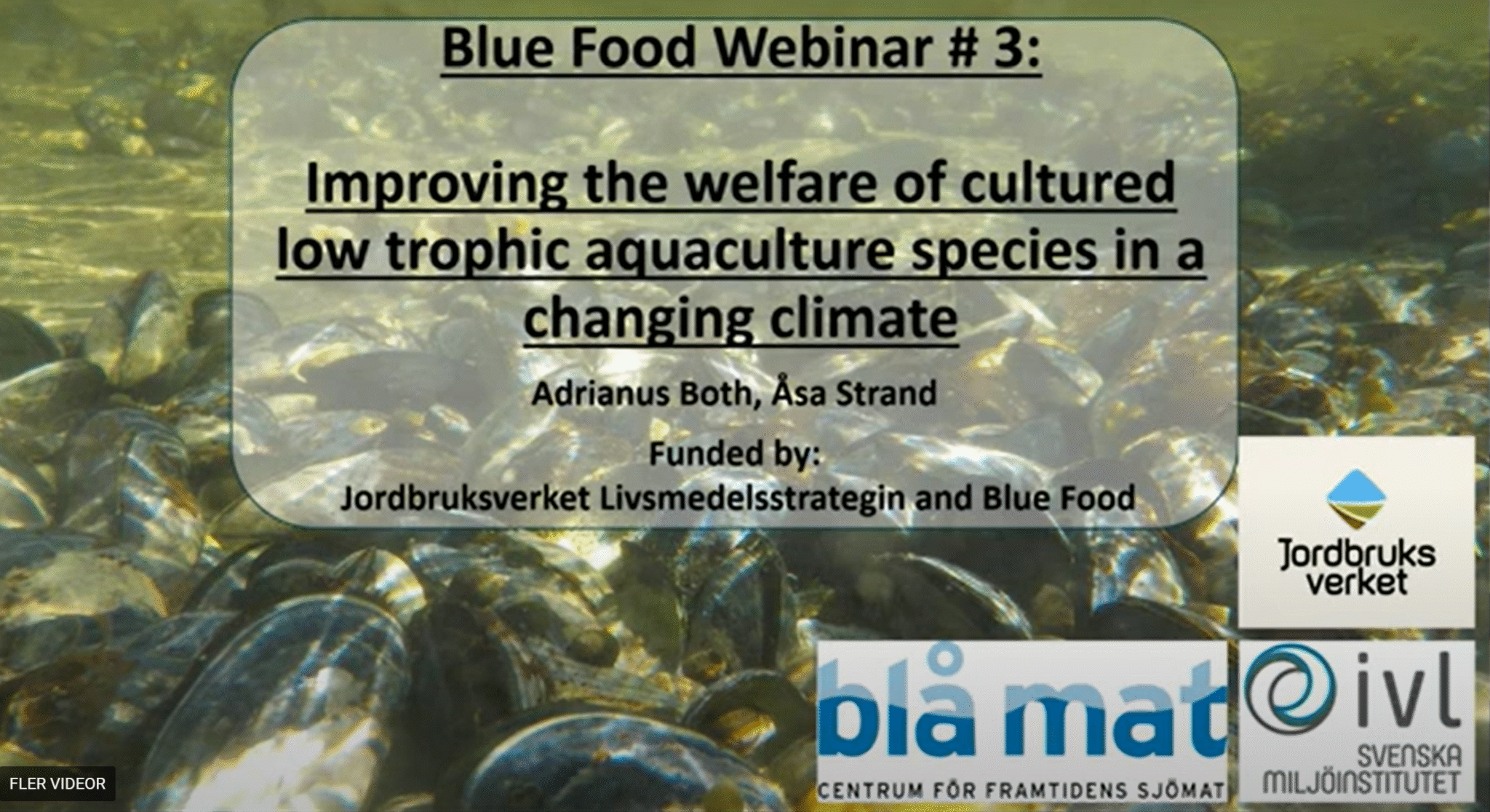 Se webbinariet "Climate change and animal welfare risks in low-trophic ...